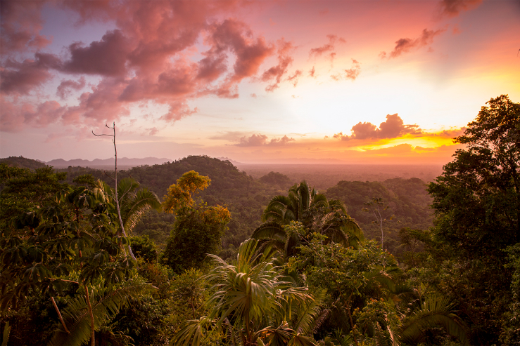Copal Tree Lodge - Stash Hotel Rewards