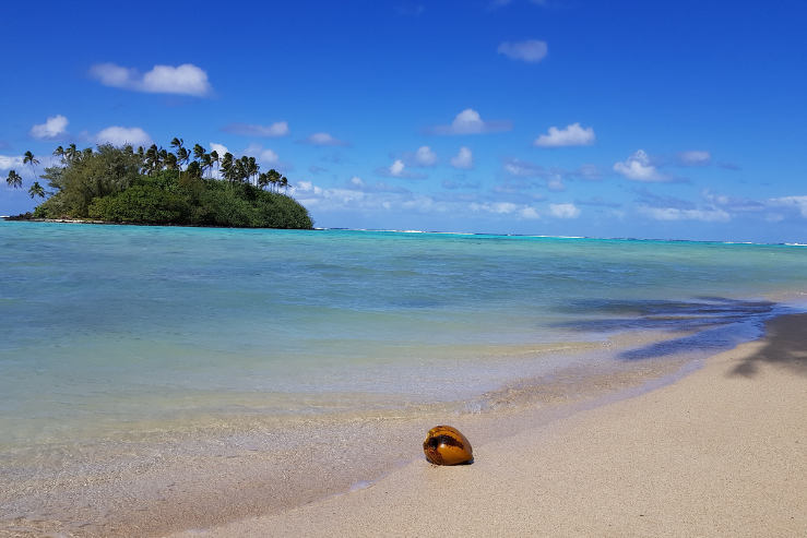 Nautilus Resort - Stash Hotel Rewards