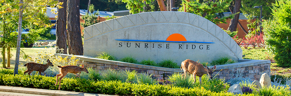 Sunrise Ridge Waterfront Resort - Stash Hotel Rewards